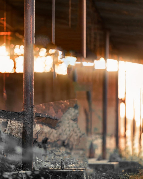 🔥Nature NSB Picture Background Free Full HD | PngBackground