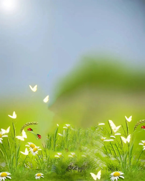 🔥Nature Photo Editing New Background Download | PngBackground