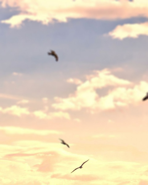 🔥Nature Sky Photo Editing Background Download | PngBackground