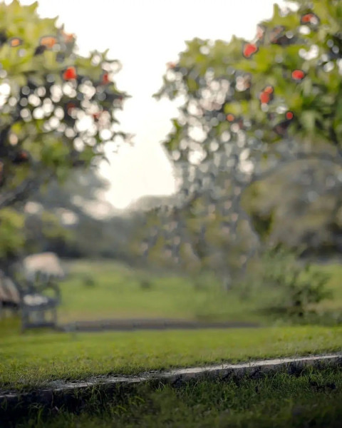 🔥Nature Snapseed HD Editing Background For NSB Pictures | PngBackground