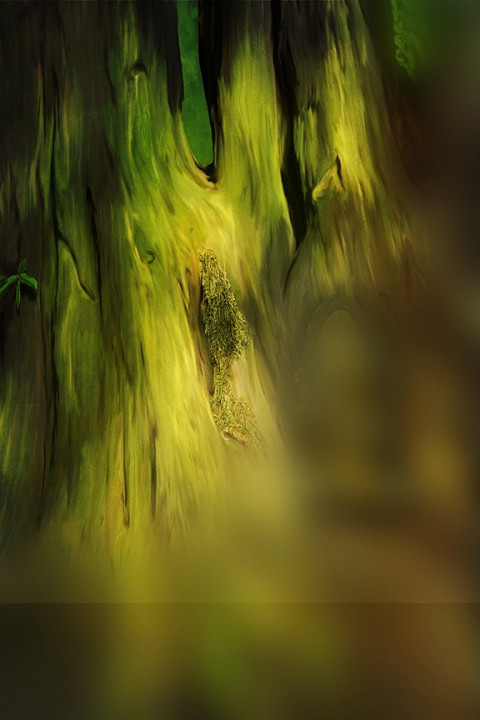 🔥Nature Studio Outdoor Background Download Free | PngBackground