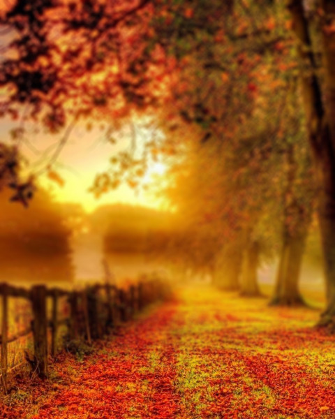 🔥Nature Sunset CB Photo Editing Background Photoshop New | PngBackground