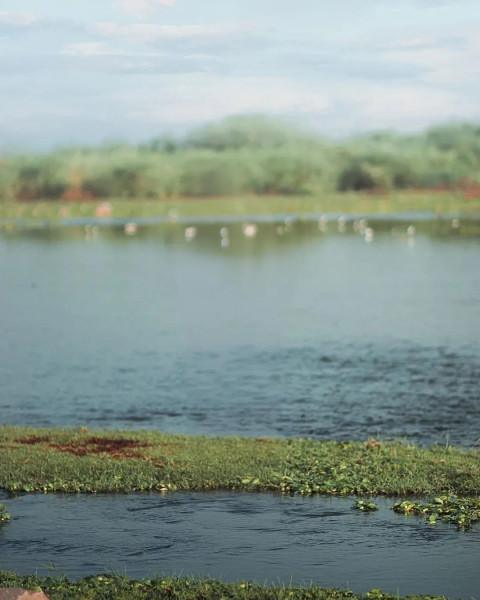 🔥Nature Water Cool Background Stock Free Editing Image | PngBackground