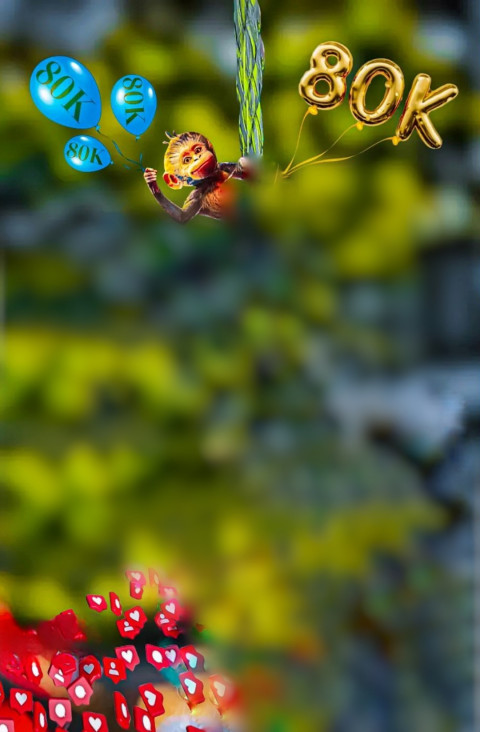 🔥New Monkey Creative Editing HD Background For Photoshop | PngBackground