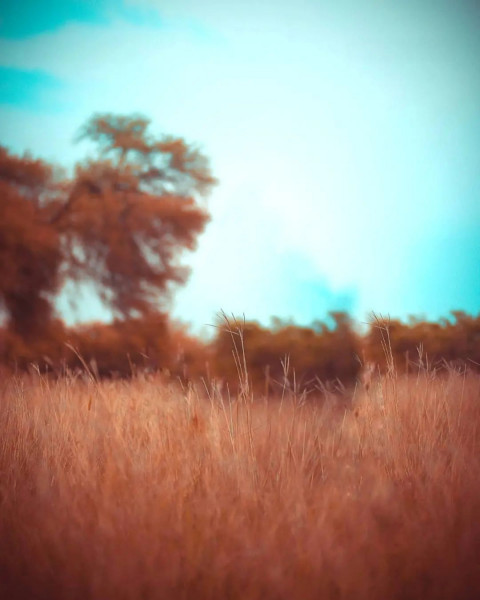 🔥New Photo Editing Viral Background Download | PngBackground