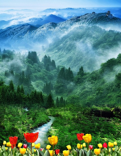 🔥New Studio Background HD With Forest | PngBackground