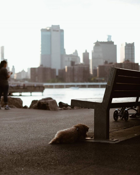 🔥Photo Editing Banch Background HD | PngBackground