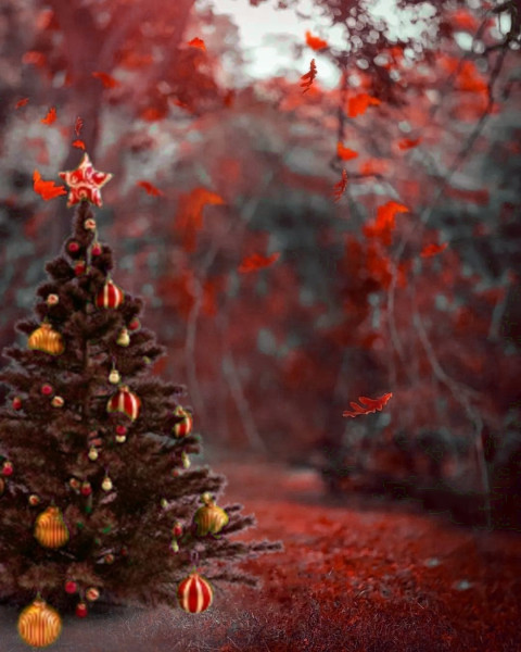 🔥Photo Editing Christmas Tree Editing Background HD | PngBackground