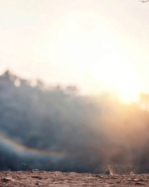 🔥Photoshop Editing Viral BAckground New | PngBackground