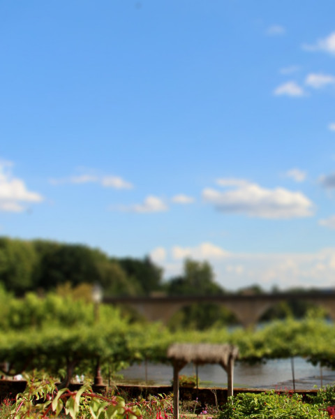 🔥Photoshop Nature Photo Editing Garden Background | PngBackground