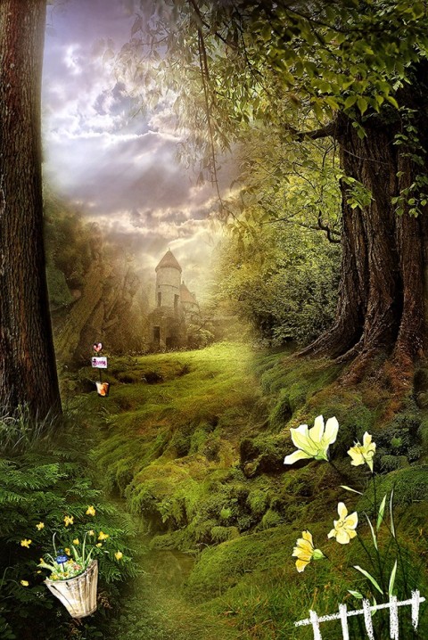 🔥Photoshop Studio Background HD With Nature | PngBackground