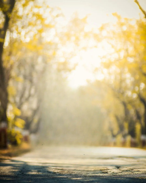 🔥Photoshop Yellow Background Hd For Editing Images | PngBackground