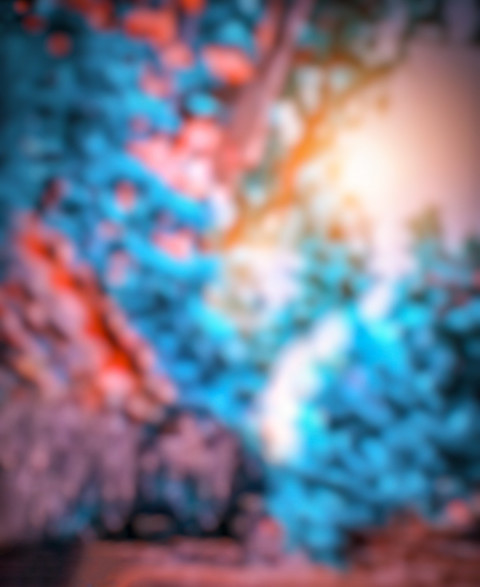 🔥PicsArt Sunlight CB HD Background | PngBackground