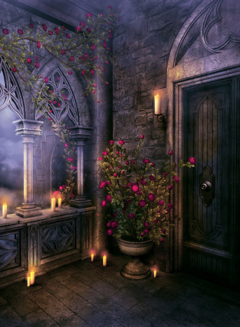 🔥Portrait Studio Editing Background Download | PngBackground