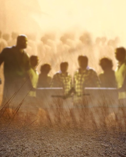 🔥Poster Photo Background Download For Editing | PngBackground