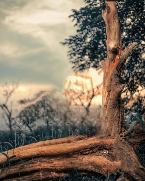 🔥Pranav PG Background Download Full HD For Photo Editing | PngBackground