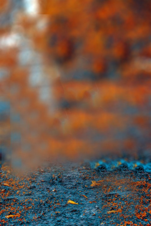 🔥RD Debu Photo Editing Cb Background HD | PngBackground