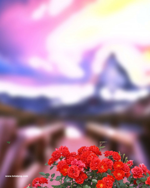 🔥Red Flowers CB Photoshop Editing Background | PngBackground