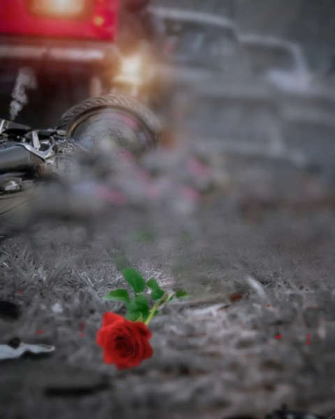 🔥Rose CB Photo Editing New Free Background HD | PngBackground