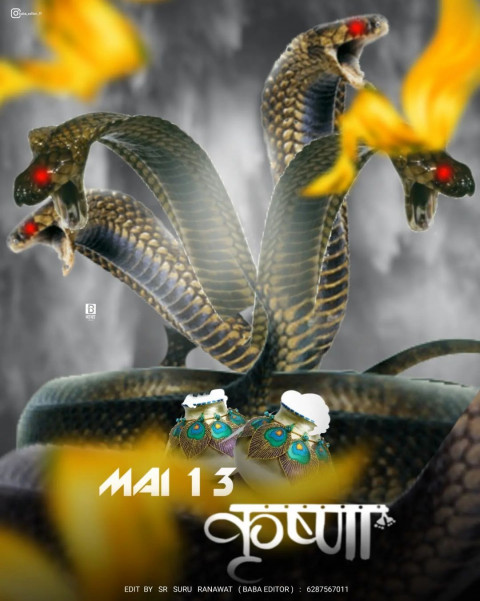 🔥Snake Viral Photo Editing Background Download Full Hd | PngBackground