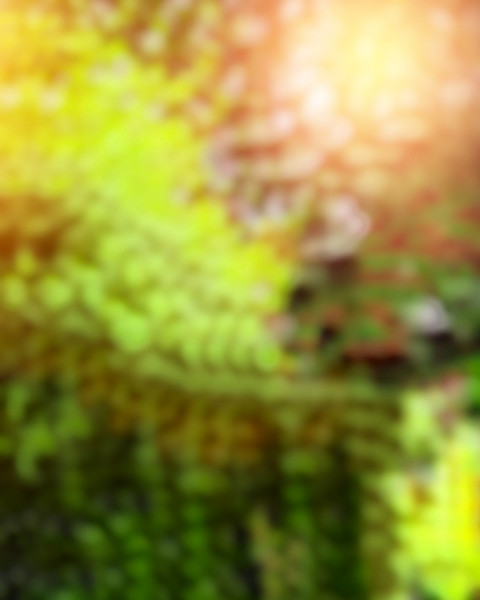 🔥Snapseed Green CB Photo Editing Background | PngBackground