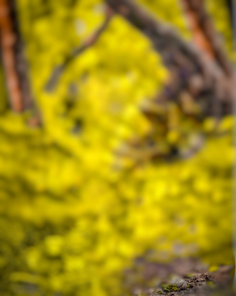 🔥Snapseed HD Yellow Background For Photoshop Photo Editing | PngBackground