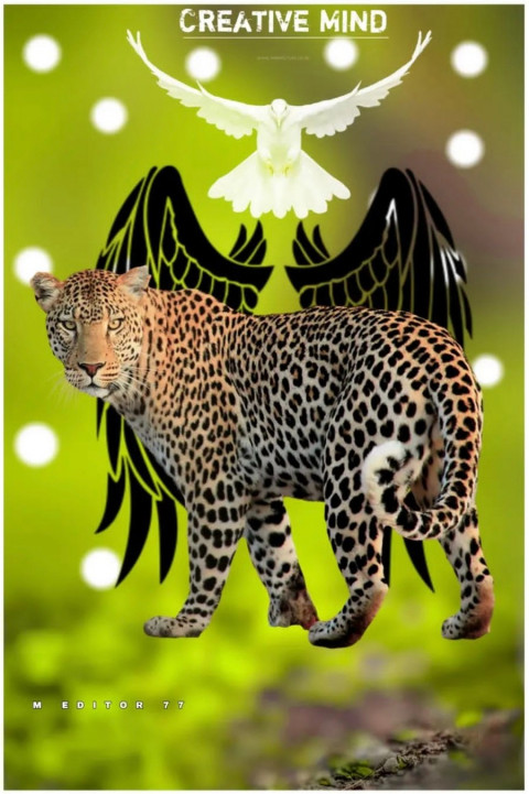 🔥Snapseed Tiger Photo Editing New Background Free | PngBackground