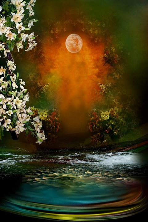 🔥Studio Outdoor Nature Background Download Full HD | PngBackground