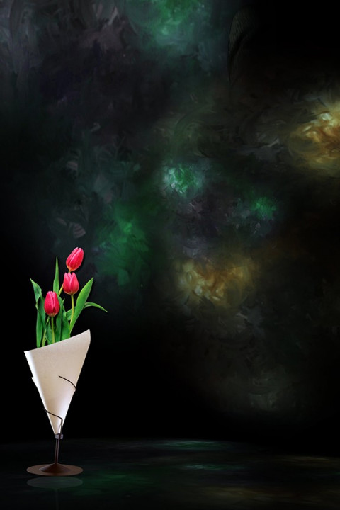 🔥Studio Photography Home Background HD New | PngBackground