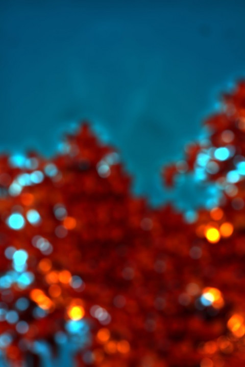 🔥Subh Devil CB Background Download HD For Photo Editing | PngBackground