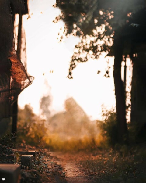 🔥Sunlight CB Editing Background Full HD | PngBackground