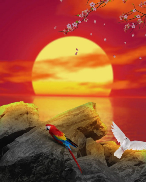 🔥Sunset With Birds PicsArt Editing New Background Download | PngBackground