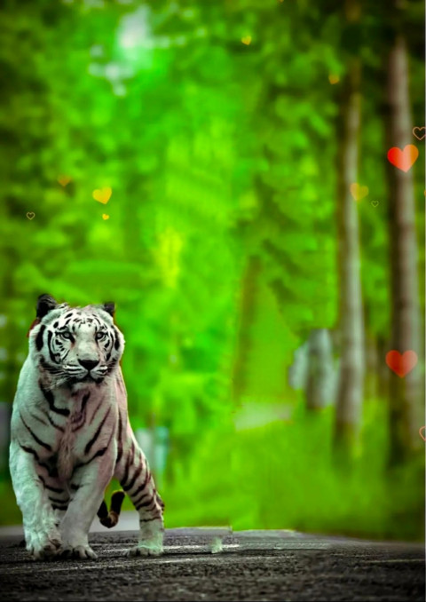 🔥Tiger Photoshop Rdx Editor Background Download Free | PngBackground