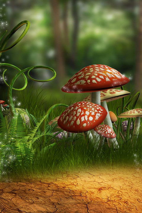 🔥Tree Forest Outdoor Studio Background HD Download Free | PngBackground