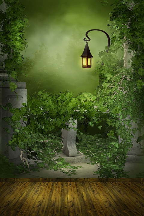 🔥Tree Outdoor Studio Background HD Download Free | PngBackground