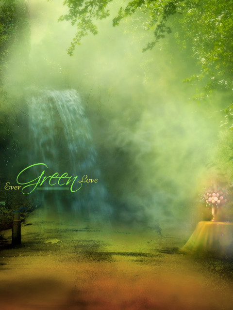 🔥Tree Photo Studio Background HD Images Download | PngBackground