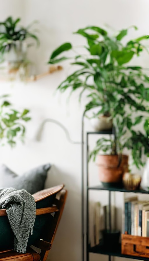 🔥Video Edito Setup Blur HD Background Free Images | PngBackground