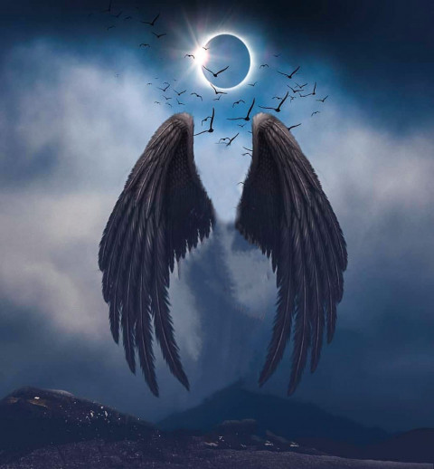 🔥Viral Wing Background Download For CB Picsart Photo Editing (Free ...