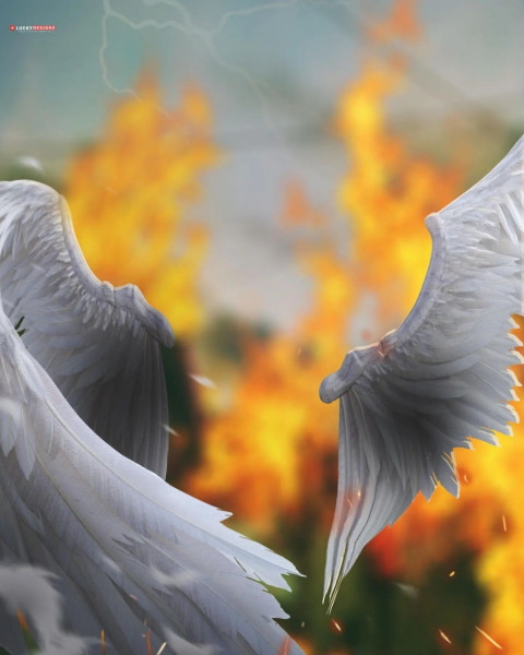 🔥Wing Fire PicsArt Editing New Background Download HD | PngBackground