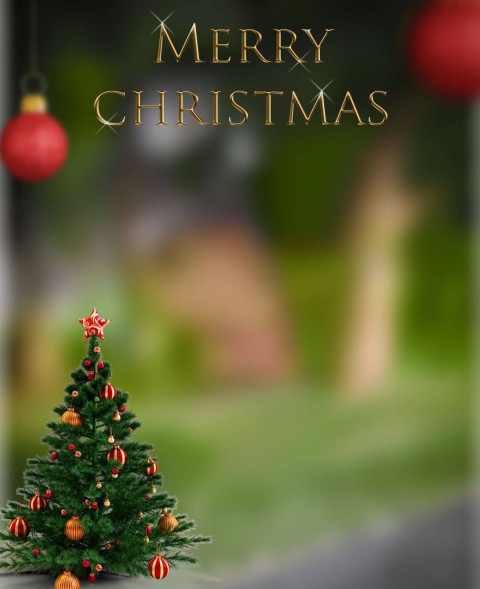 🔥Merry Christmas Day Background HD Cb Editing Tree Photo | PngBackground