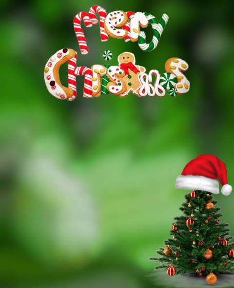 🔥Christmas Tree Photo Editing Background Hd CB Images | PngBackground