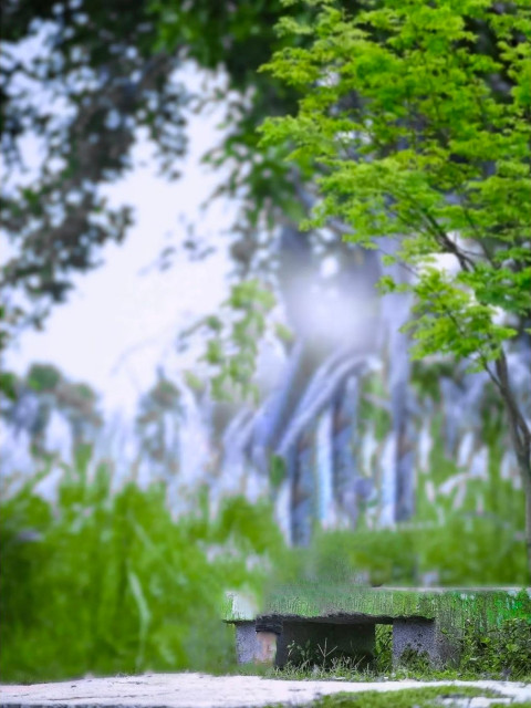 🔥Green Tree CB Nature Rdx Editor Background Images Full HD | PngBackground