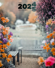 🔥2025 Background For Picsart New Year Editing 2025 Photo | PngBackground