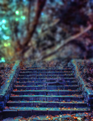 🔥Forest Photoshop Nature Background HD Downloaad For CB Editing Free ...