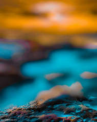 🔥 (1,500+) Top Nsb Pictures Background Full HD | PngBackground