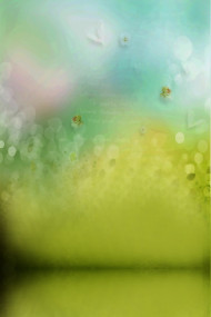 🔥Forest Outdoor Studio Background Download Free | PngBackground