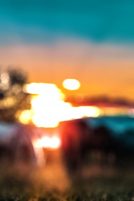 🔥Viral CB Background HD For Rd Debu Photo Editing | PngBackground