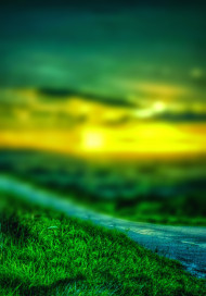 🔥Blur Tree Green CB Photo Editing Full HD Background | PngBackground