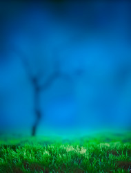 🔥CB Background HD Dark Blur Images Download Free | PngBackground