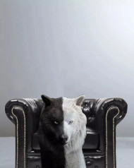 🔥Chair Picsart Editing Background Full HD Images | PngBackground